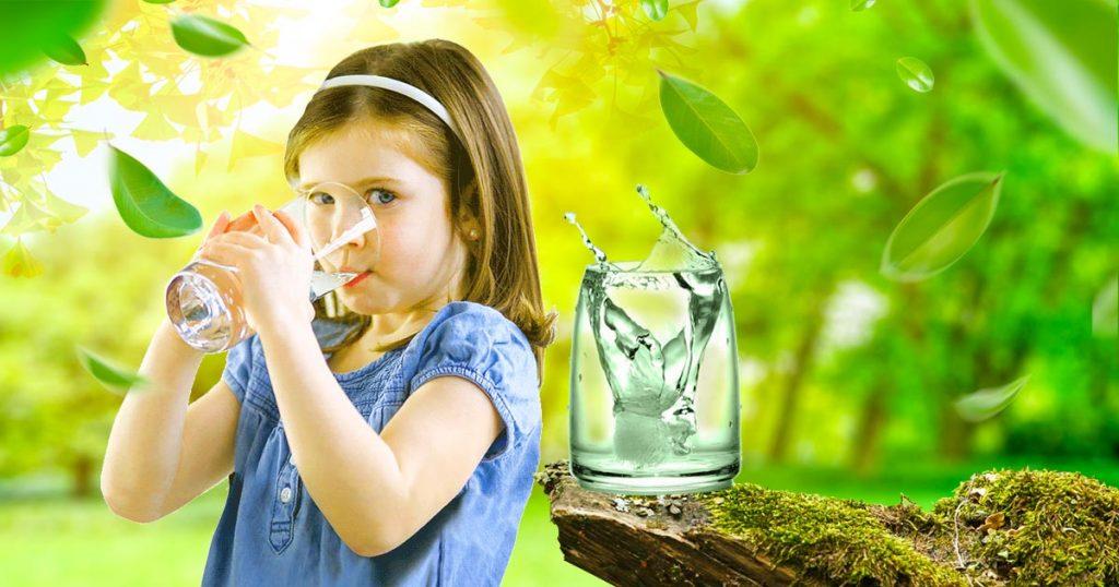 Sustainable Water Filter - Eco-Friendly Solutions for Clean Drinking Water