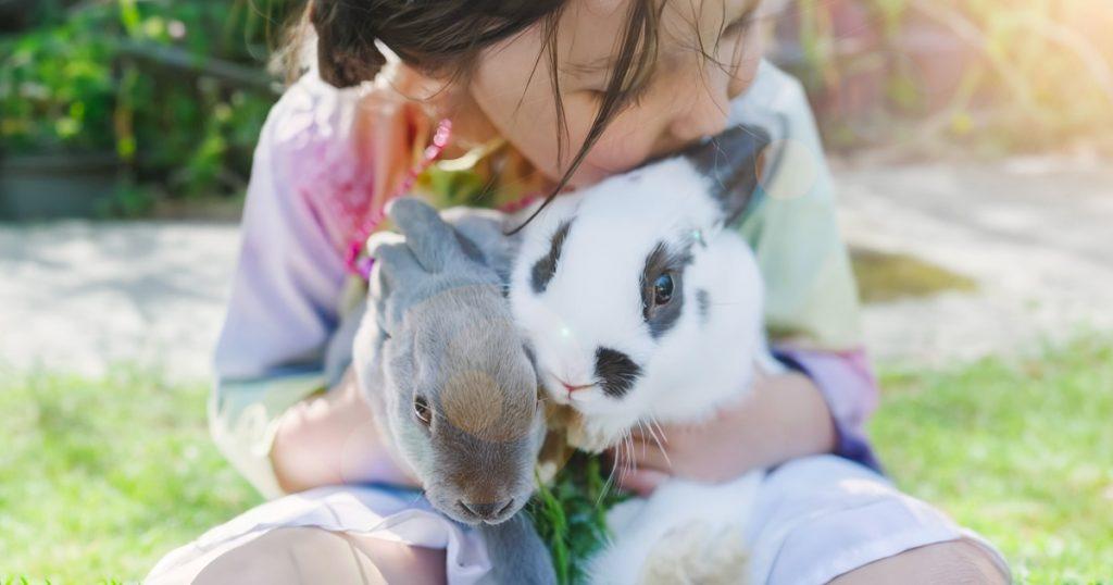 Good Pets for Kids: A Guide to Finding the Perfect Companion