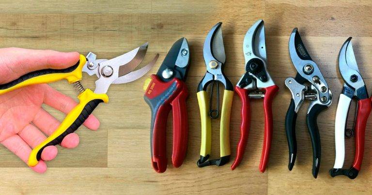 Pruning Shears: Choosing the Best Types for Your Garden