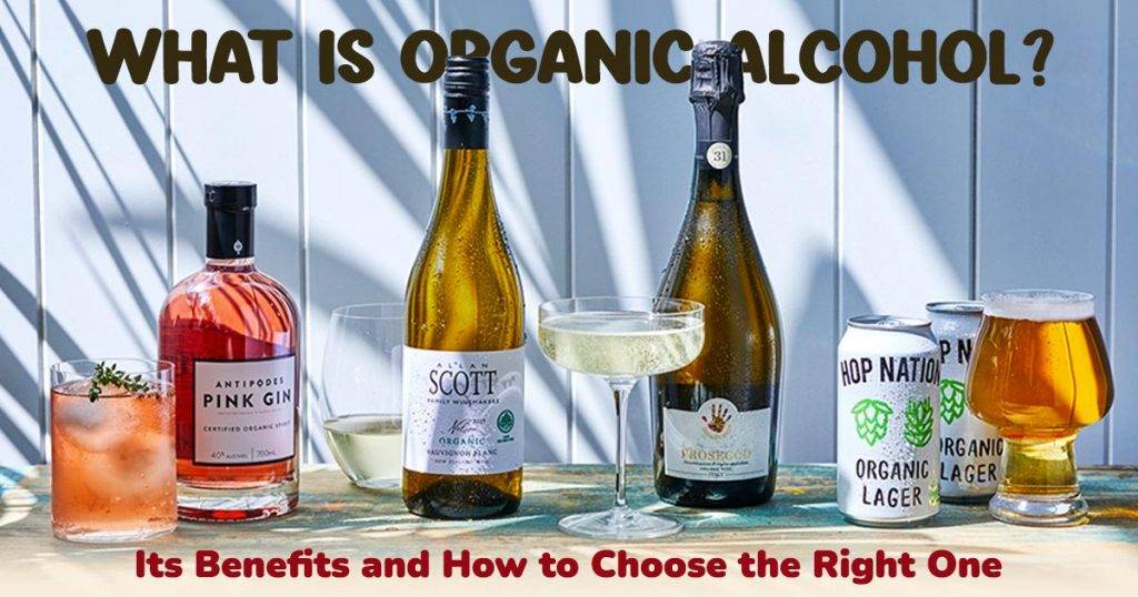 Organic Alcohol: How to Drink It?