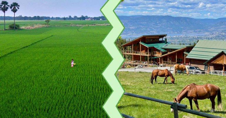 Farm vs Ranch - What Sets Them Apart?