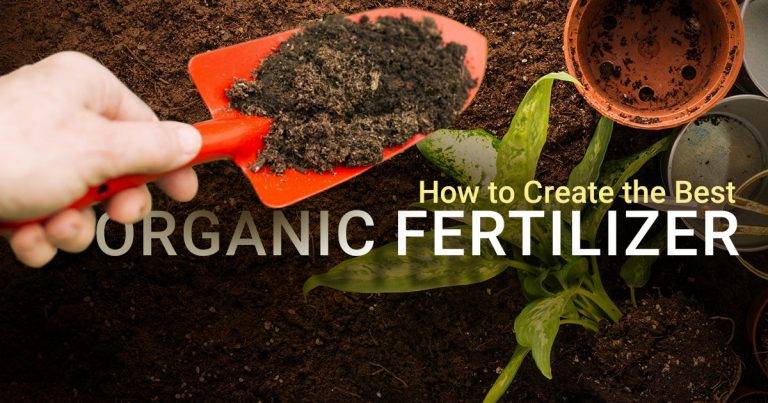 How to Make the Best Natural Fertilizer: 7 Organic Fertilizers for Plants