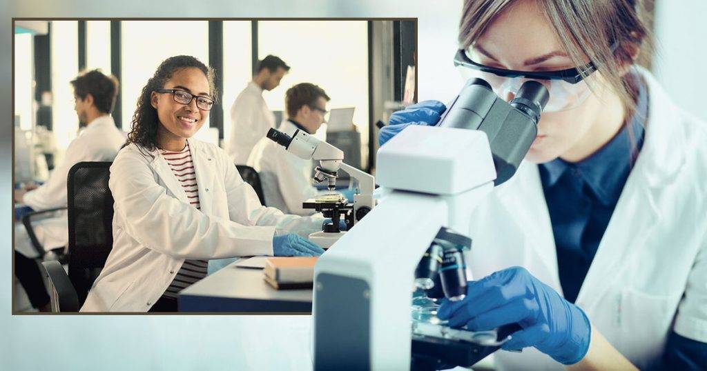 12 Biology Degree Career Paths Beyond Medical School