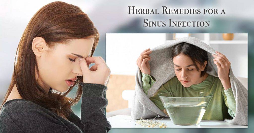 8 Herbal Remedies for a Sinus Infection