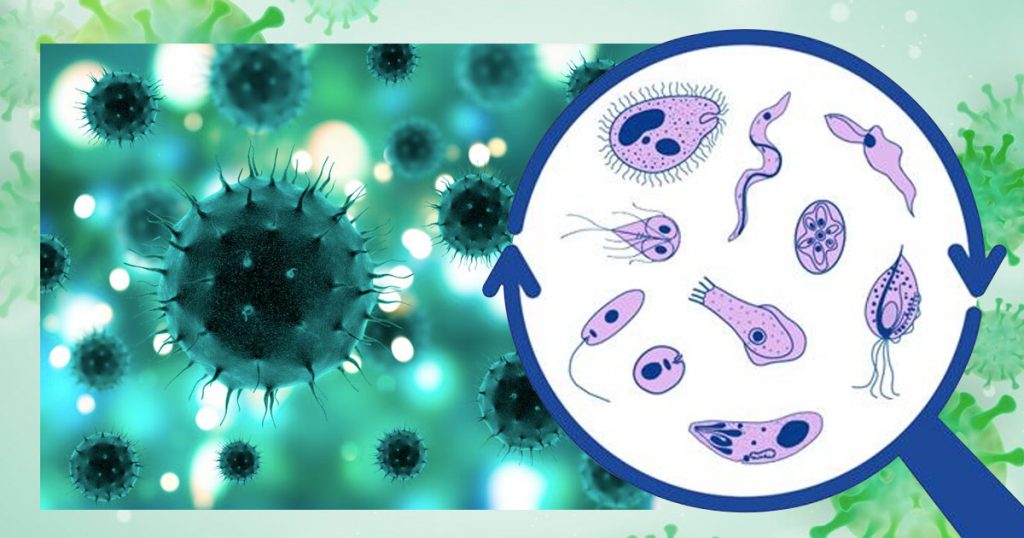 The Intriguing Link Between Cancer and Parasites